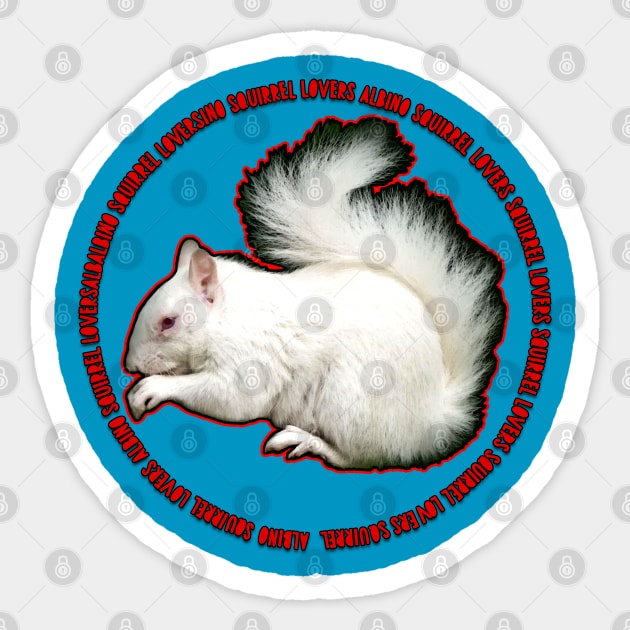albino squirrel lovers - Albino Squirrel - Sticker | TeePublic